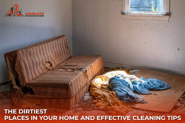 Dirtiest Places in Your Home & Top Cleaning Tips to Stay Healthy